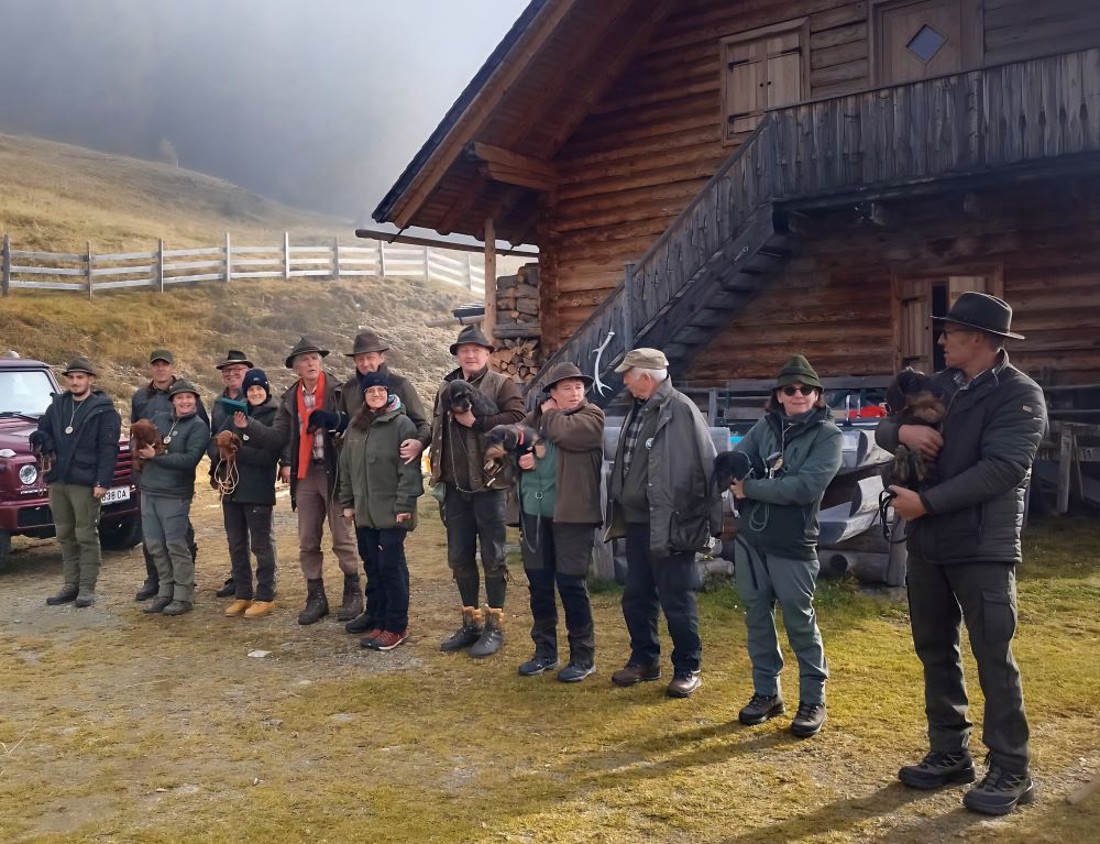 Archiv Carinthia 2025 | Österreichischer Dachshundeklub (ÖDHK)